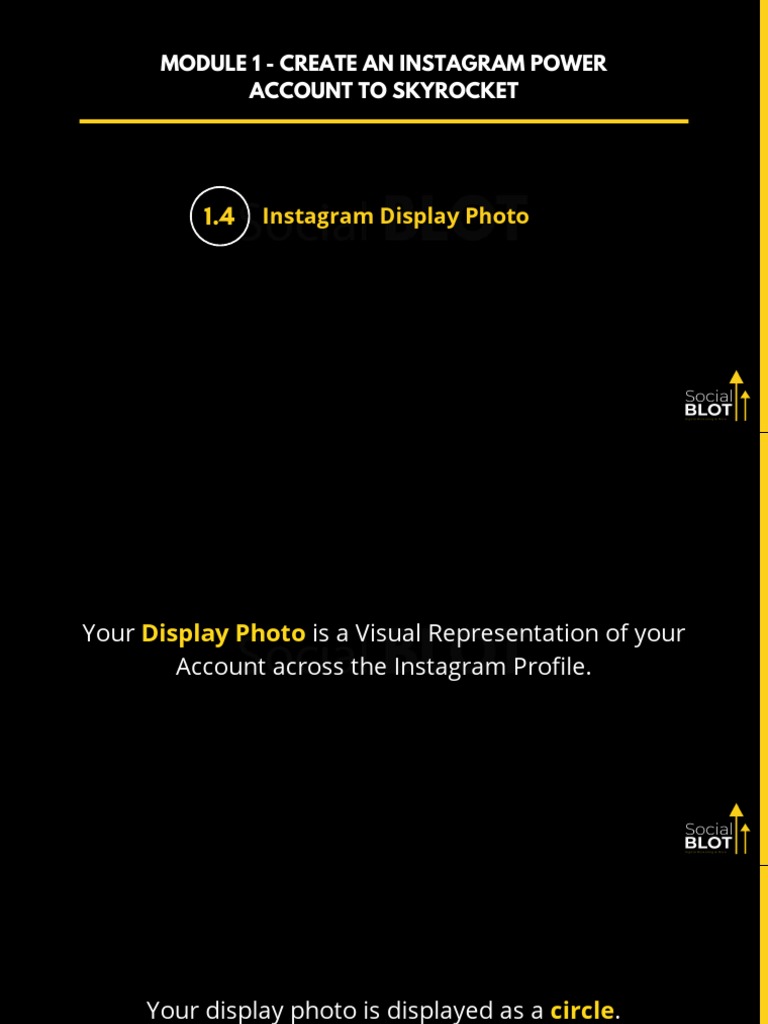 Module 1.4 Perfecting Your Instagram Display Picture | PDF