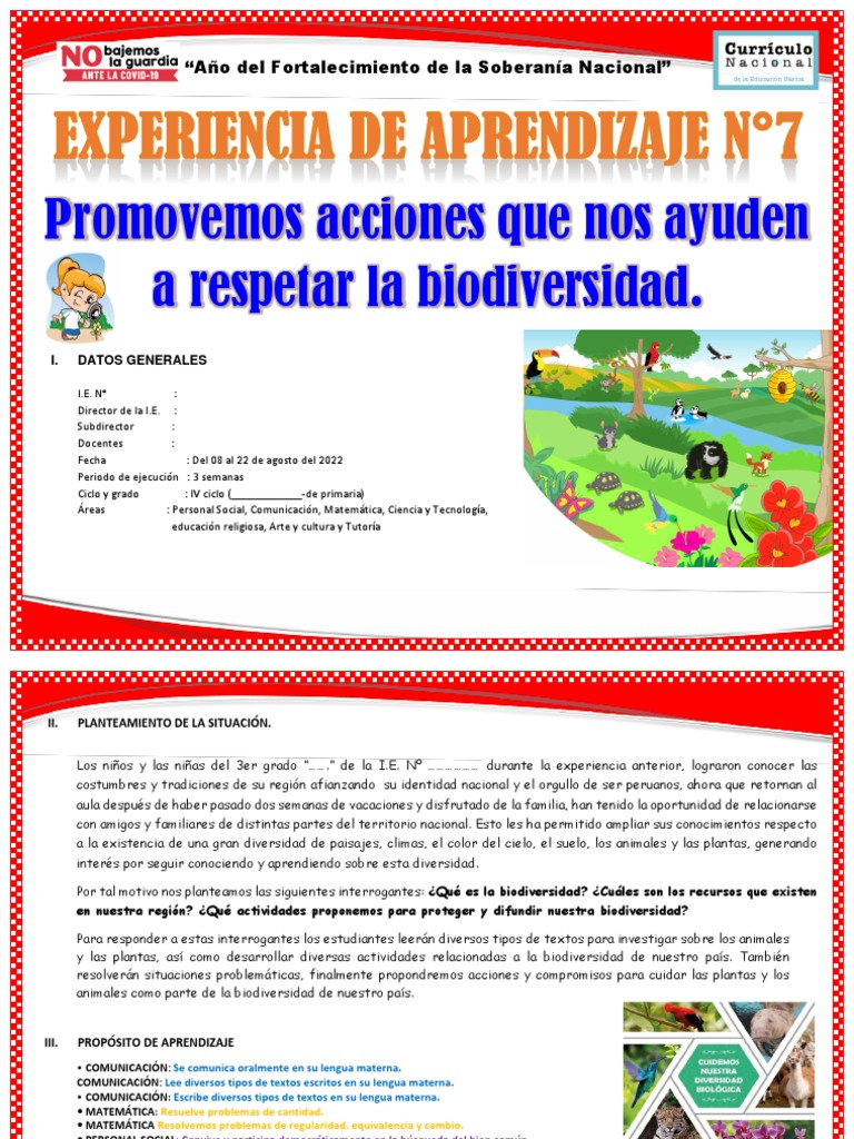 Experiencia de Aprendizaje 7 | PDF | División (Matemáticas) | Biodiversidad