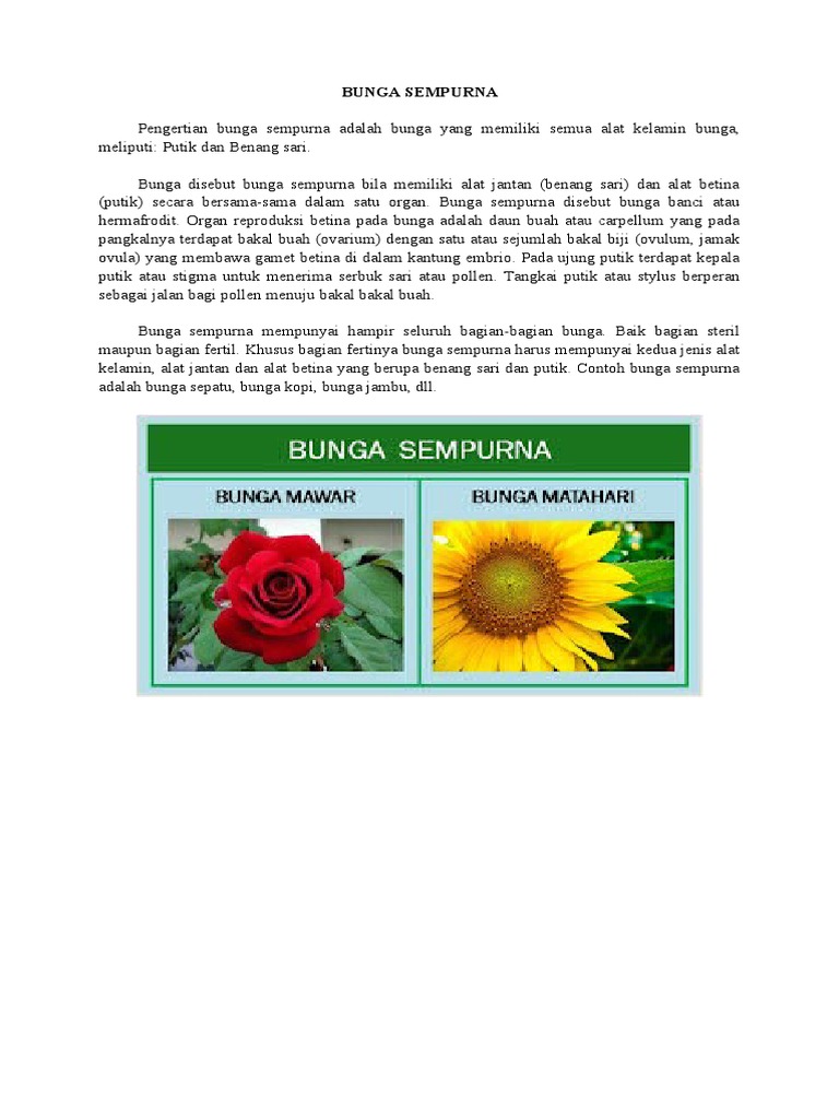 Bunga Sempurna dan Tidak Sempurna | PDF | Seni & Disiplin Bahasa ...