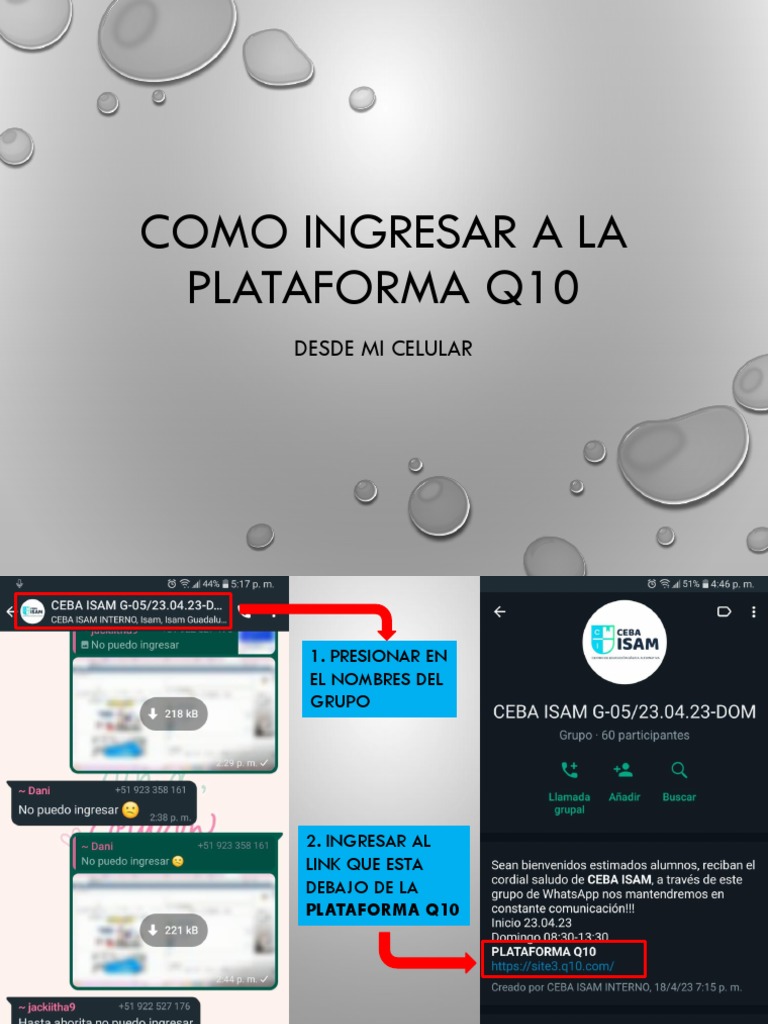 Plataforma q10 (Celular) | PDF