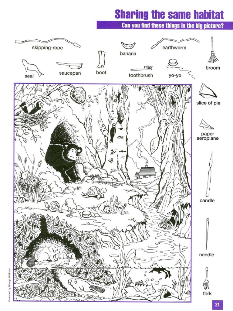 Hidden Pictures 4 | PDF