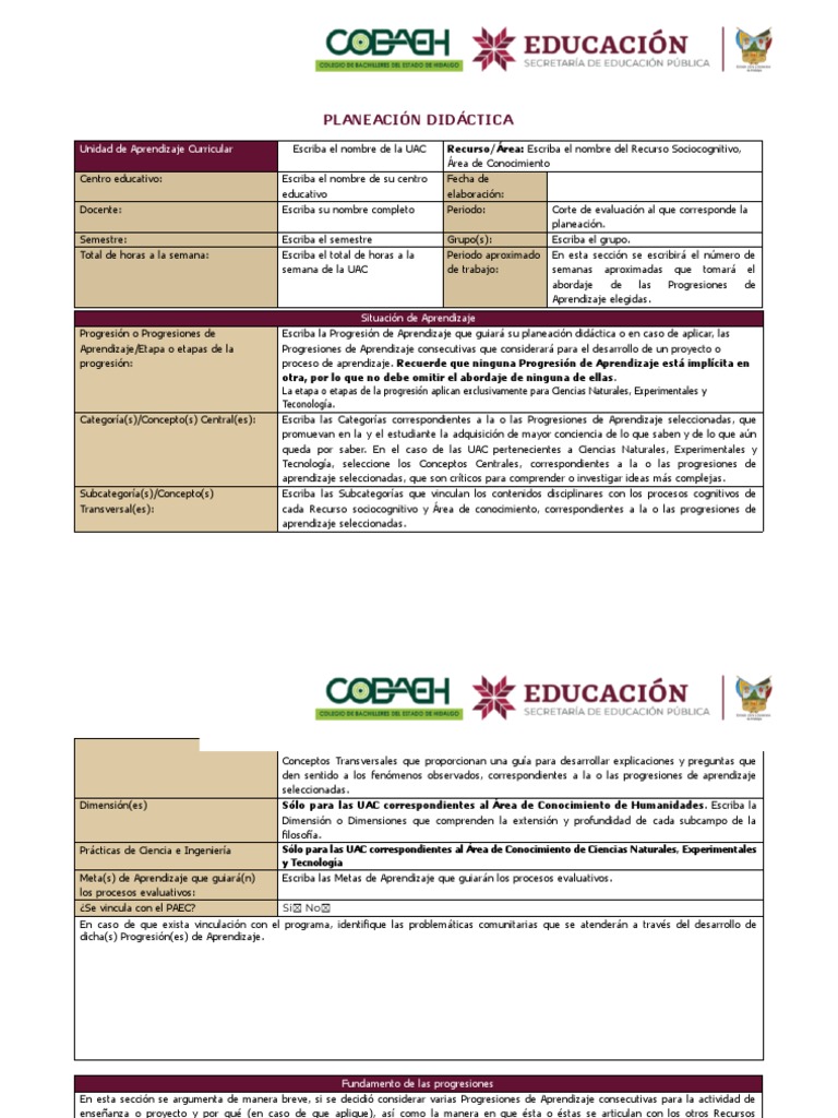 Instructivo-Planeación Didáctica | PDF | Evaluación | Aprendizaje