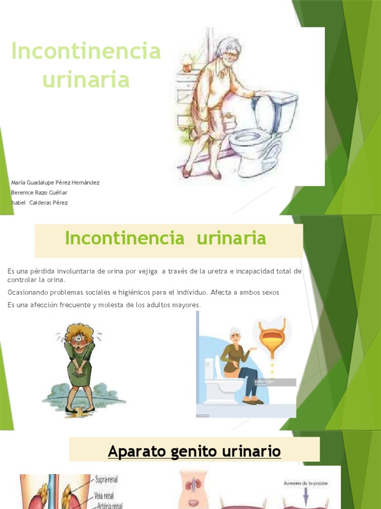 Incontinencia Urinaria: Tipos y Cuidados | PDF | Medicina CLINICA ...