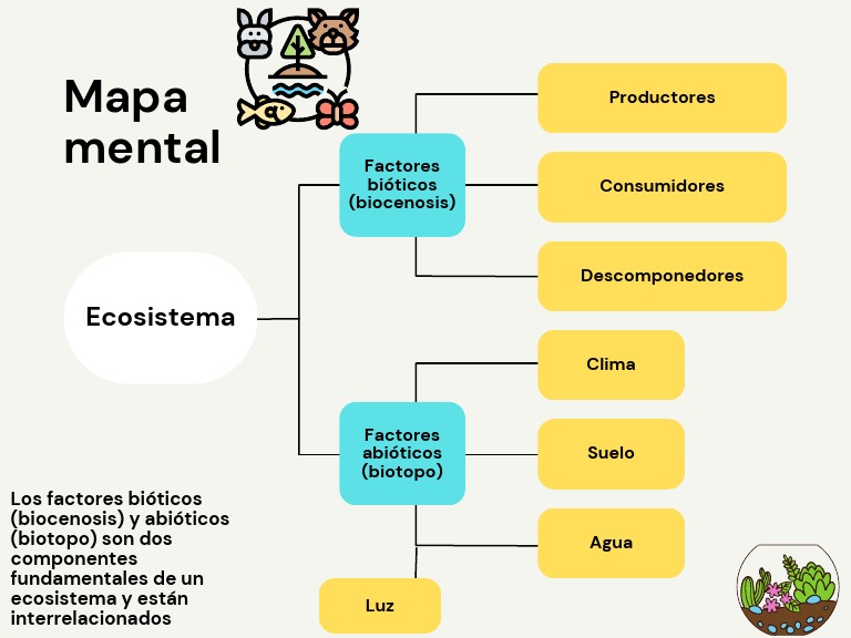 Mapa Mental de Factores Bioticos y Abioticos | PDF