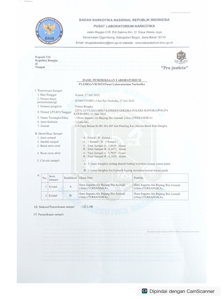 Hasil Uji Lab BNN | PDF