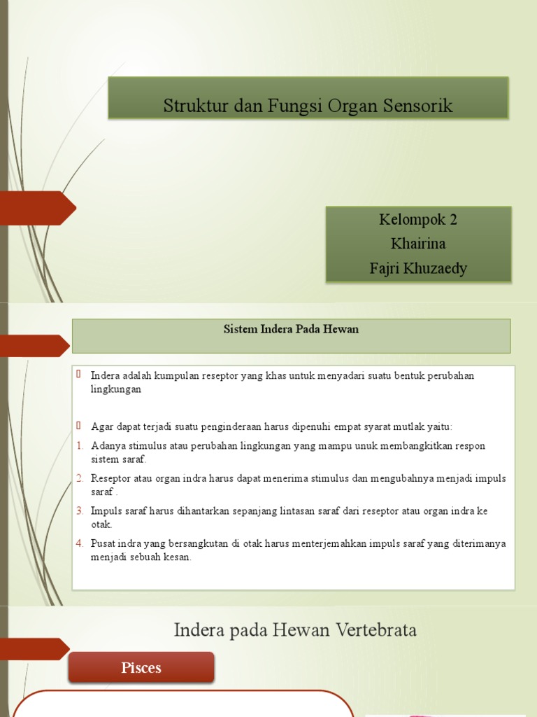 Struktur dan Fungsi Organ Sensorik | PDF