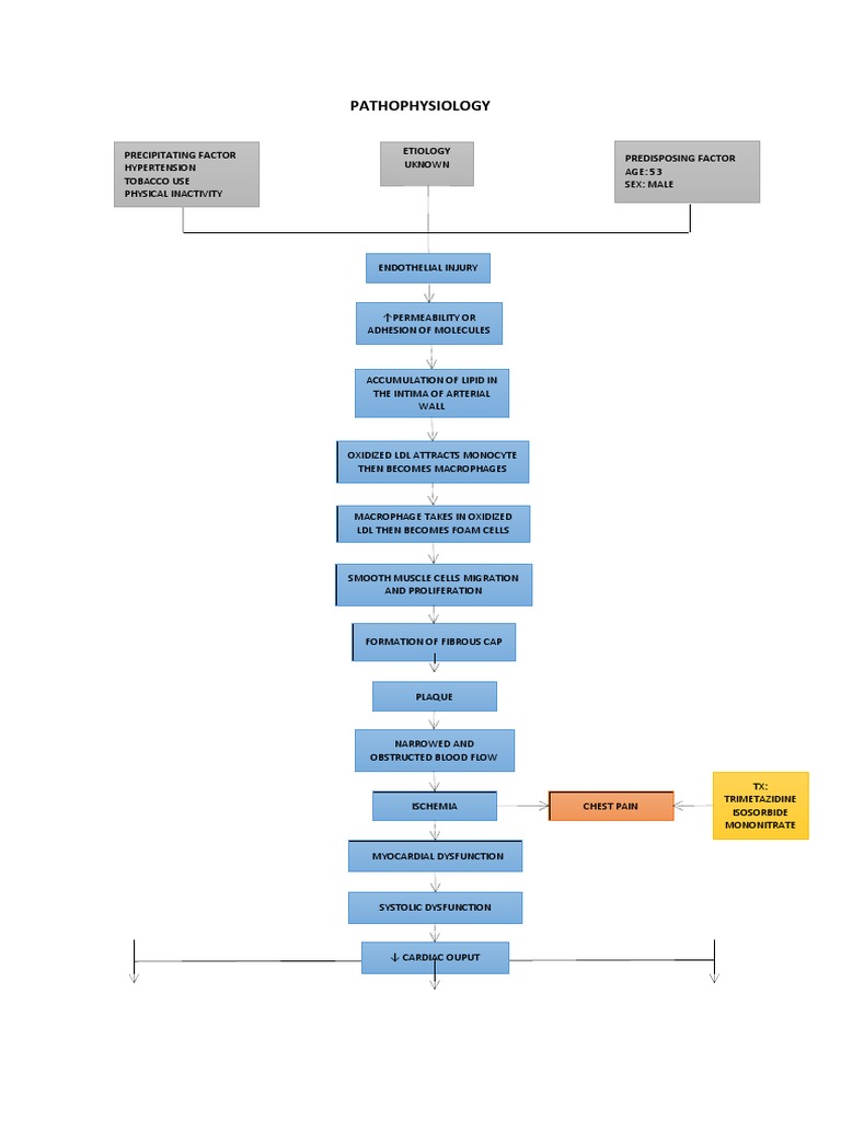 Pathophysiology Cad | PDF | Blood Pressure | Angiotensin