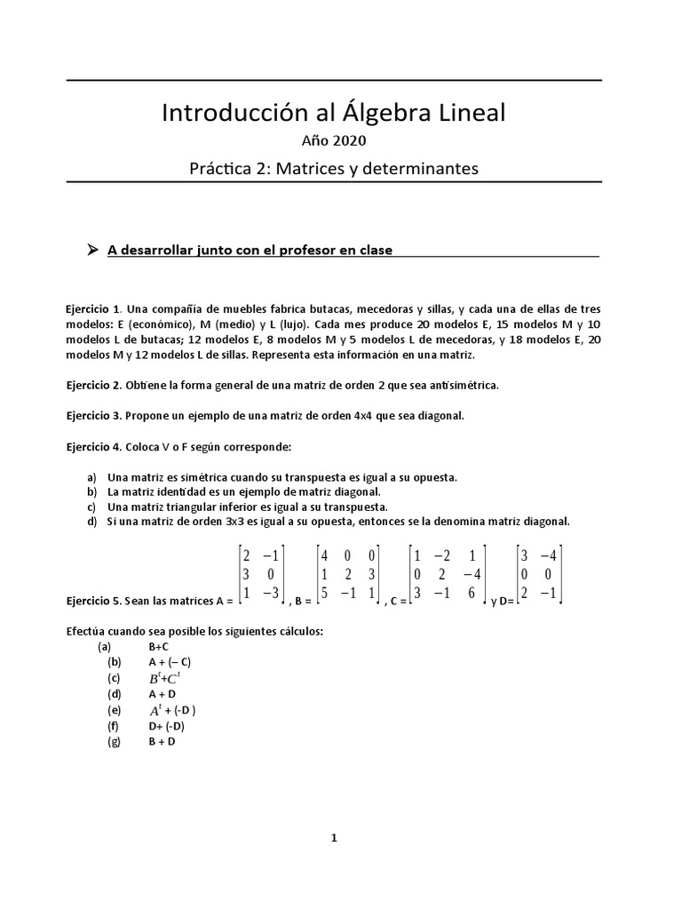 Practica 2 Matrices 2020 | PDF