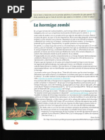 Ophiocordyceps unilateralis: Hongo zombi en insectos | PDF | Hongo ...