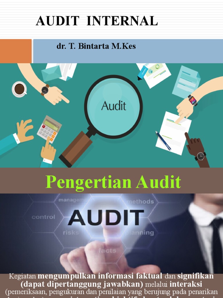 Audit Internal | PDF