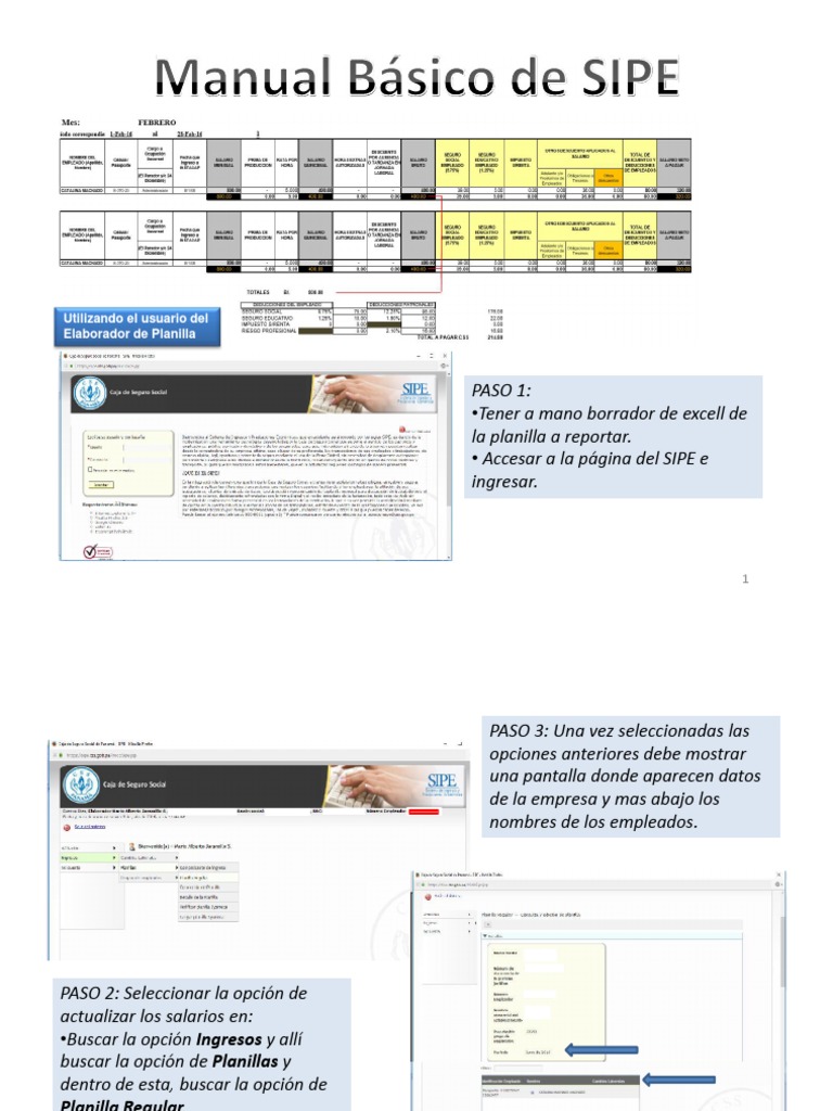 Manual Básico Del SIPE | PDF