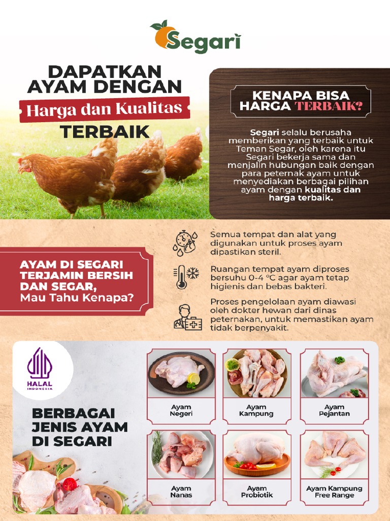 Katalog Brochure Ayam - 2 | PDF