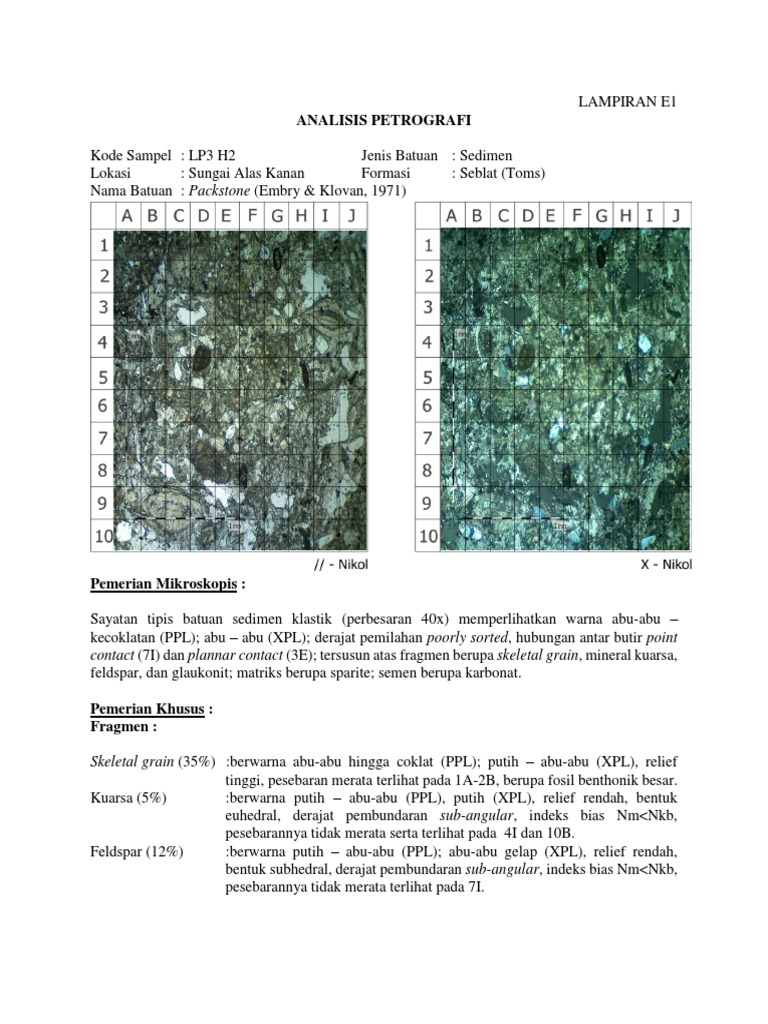Lampiran E Petro - Anju - G - Marbun | PDF