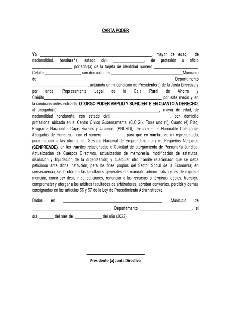 Carta Poder | PDF | Honduras | Gobierno