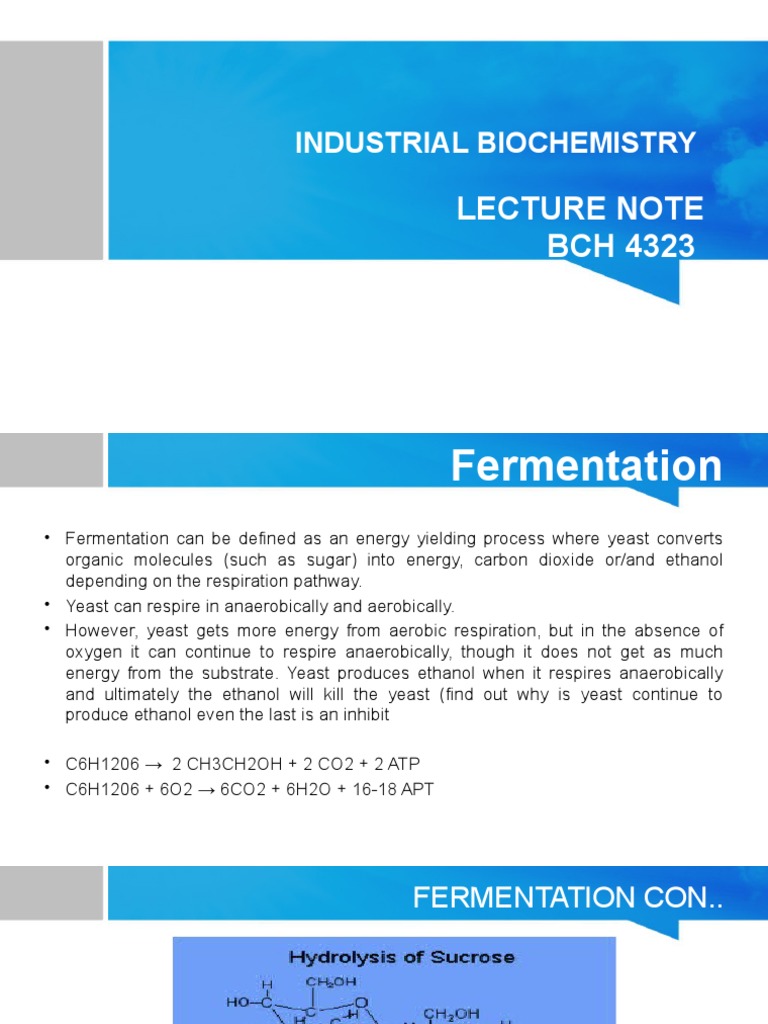 Industrial Biochemistry: Fermentation Insights | PDF | Malt | Beer