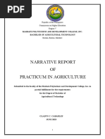 Test Paper Template | PDF | Relevance | Information