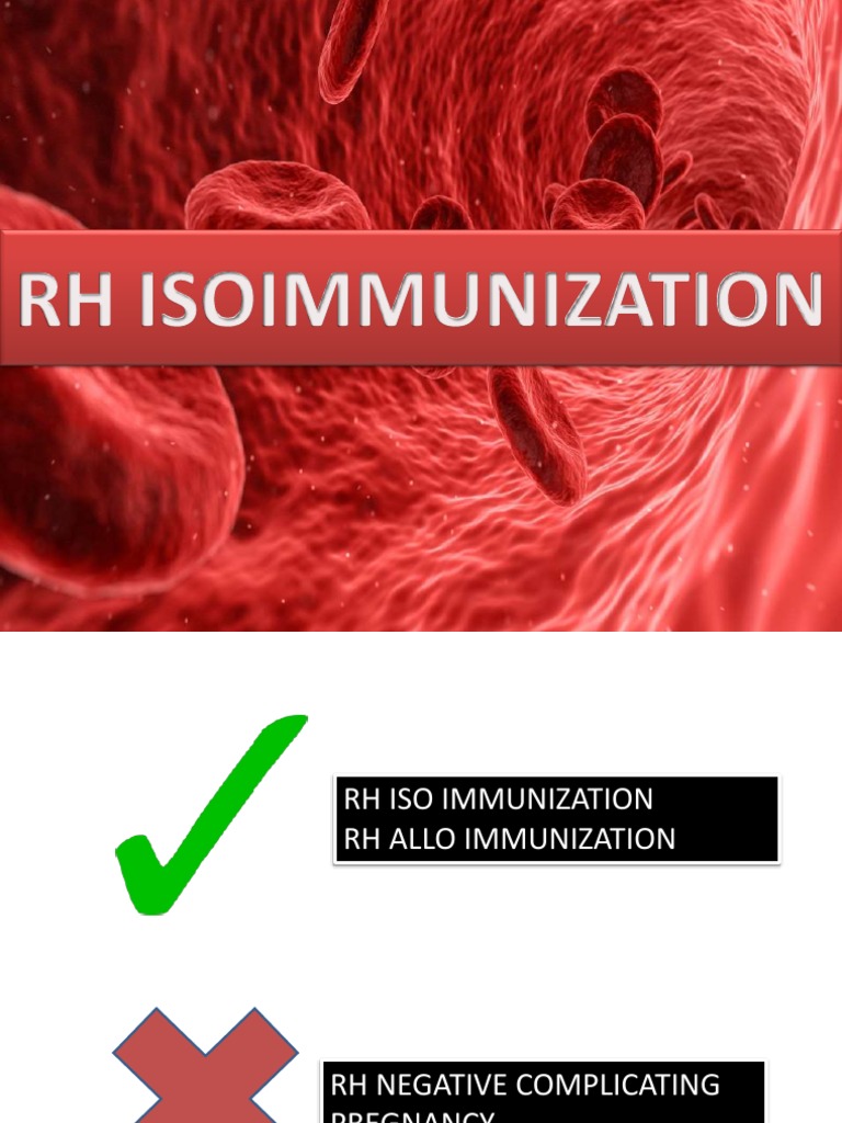 Rh Isoimmunization in Pregnancy | PDF | Human Pregnancy | Maternal Health