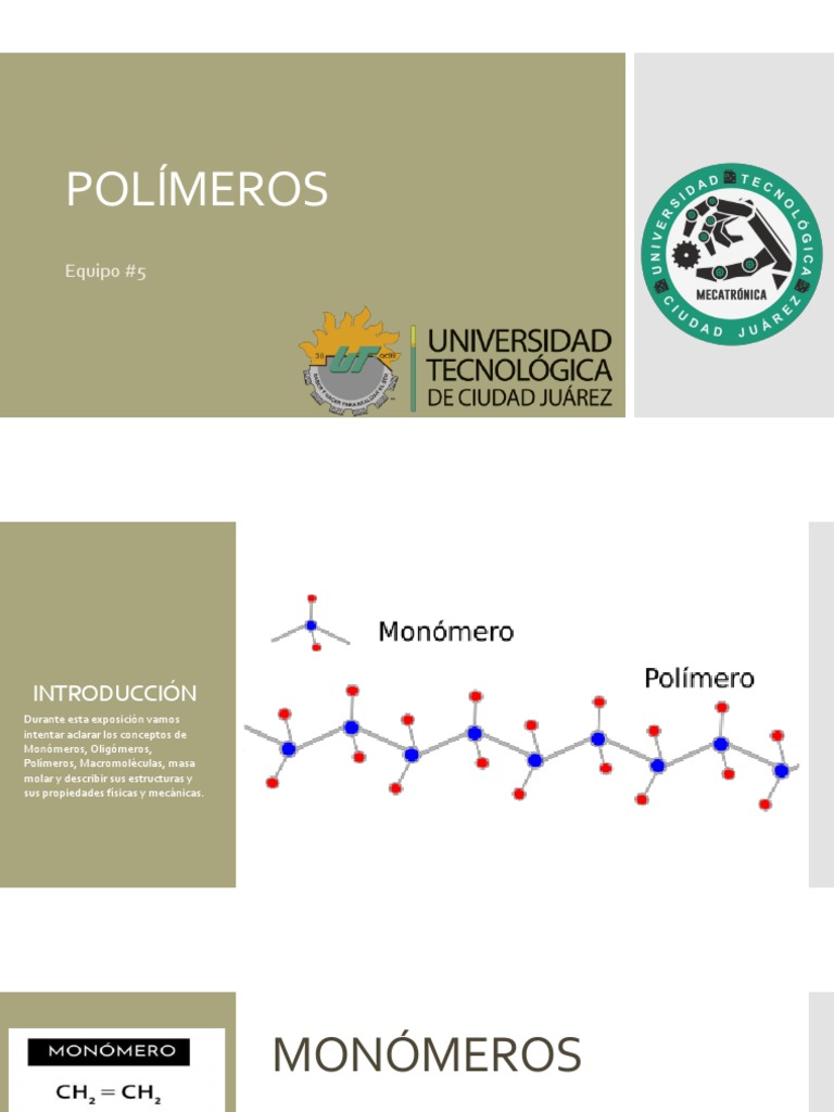 POLÍMEROS | PDF | Polímeros | Macromoléculas