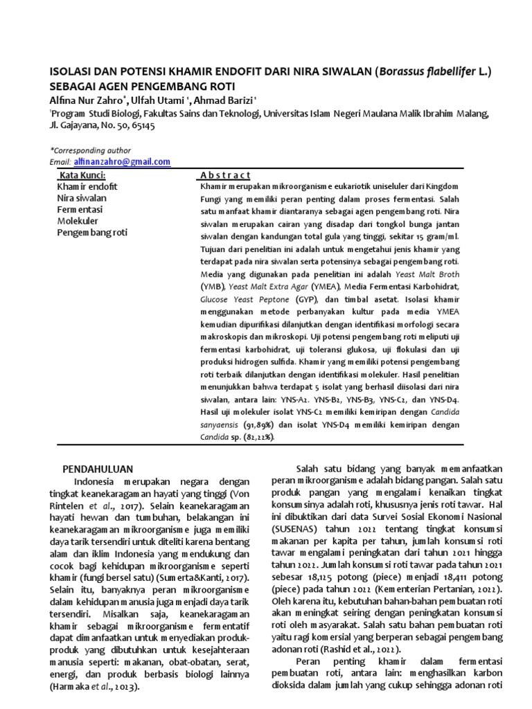 Template Draf Artikel Skripsi 1 | PDF