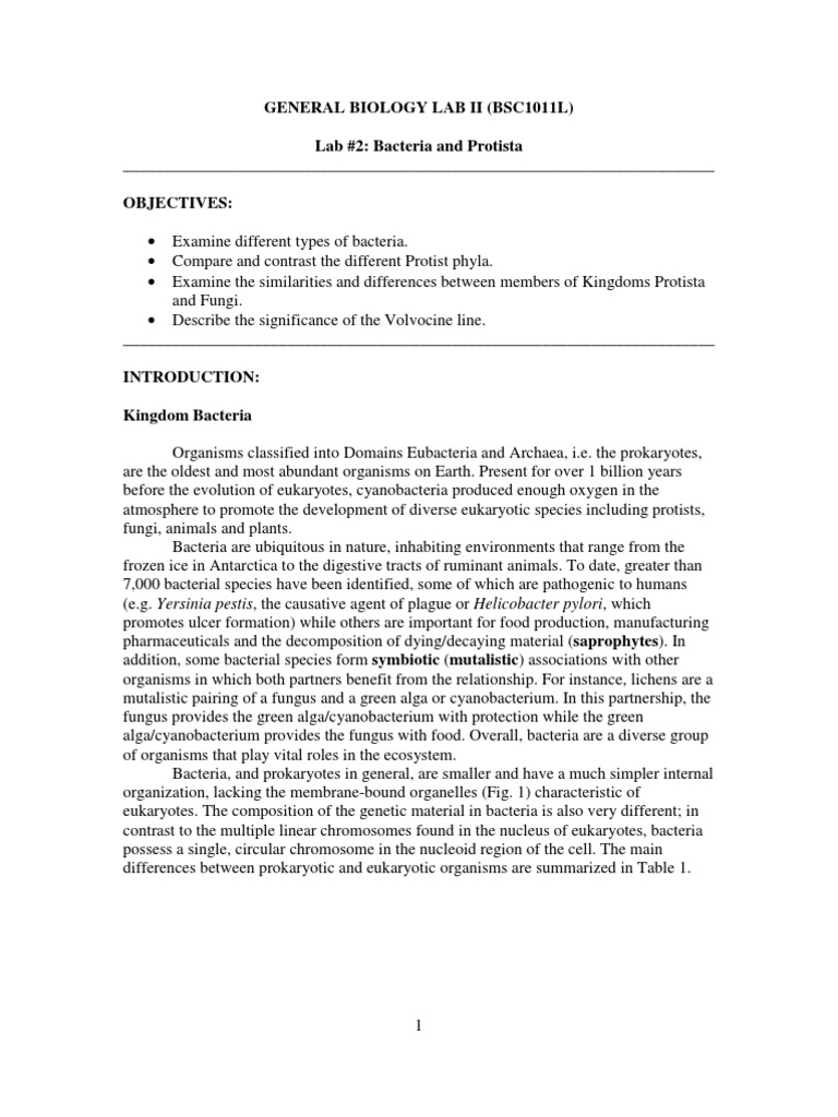 Bacteria and Protista Lab Overview | PDF | Eukaryotes | Bacteria