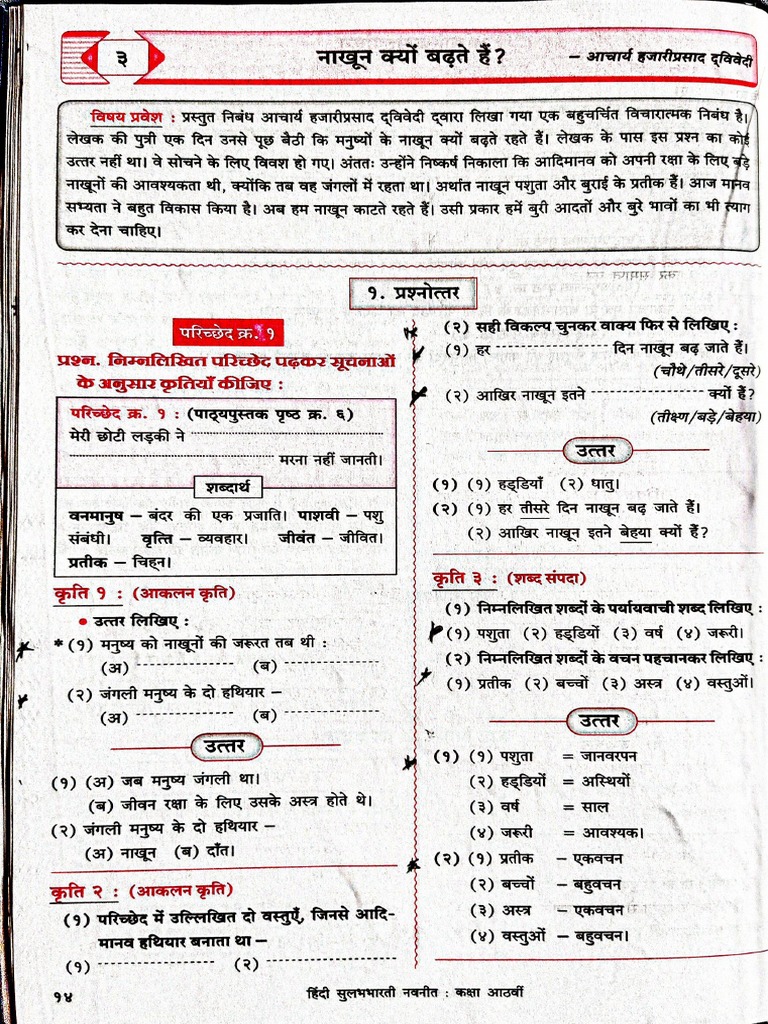 8th Hindi Lesson 3 | PDF