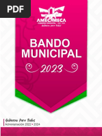 Bando Municipal 2025 | PDF | Gobierno local | México