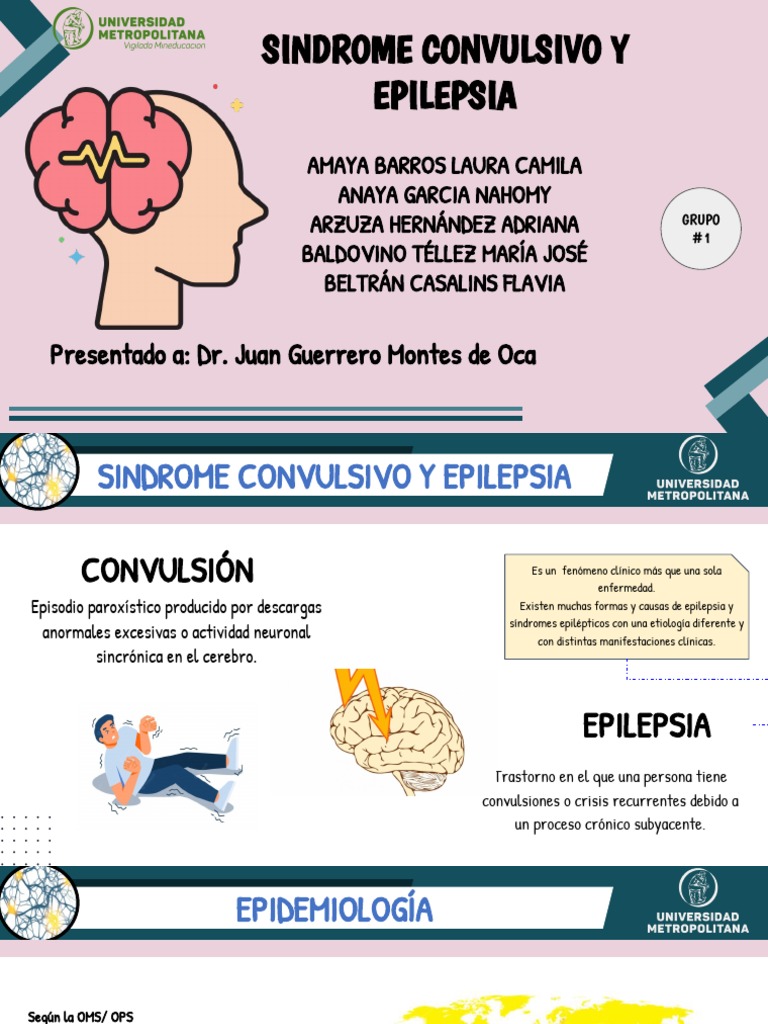 Síndrome Convulsivo (Convulsiones y Epilepsia) | PDF
