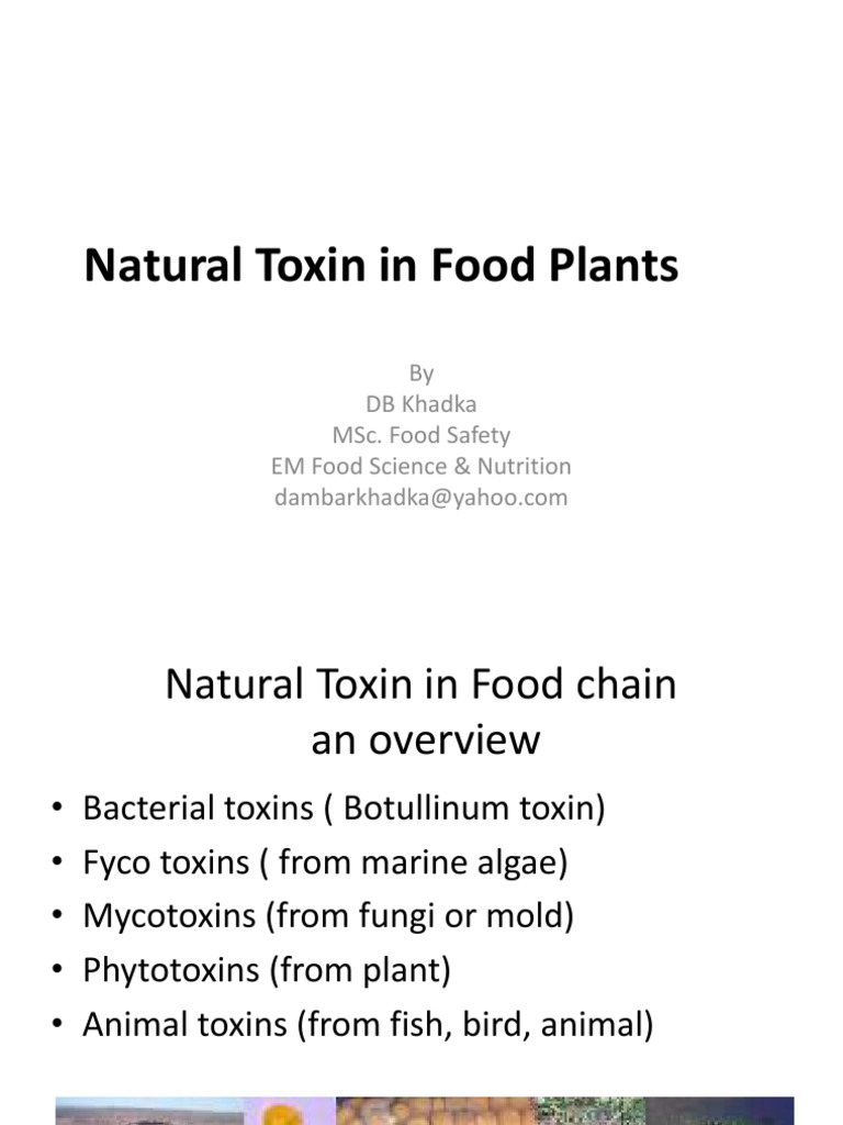 Natural Toxin in Food Plant | PDF