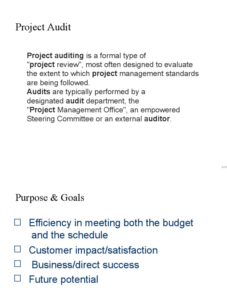 Project Audit | PDF | Audit | Project Management