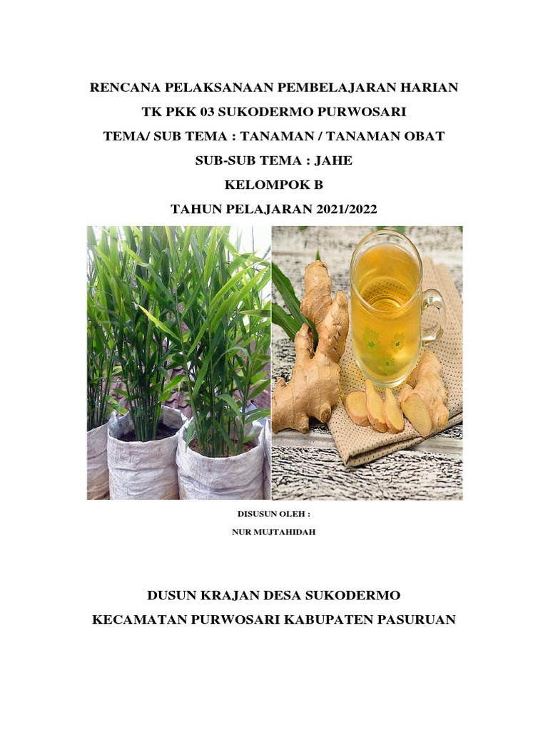 RPPH Tema Tanaman Obat Kelompok B | PDF