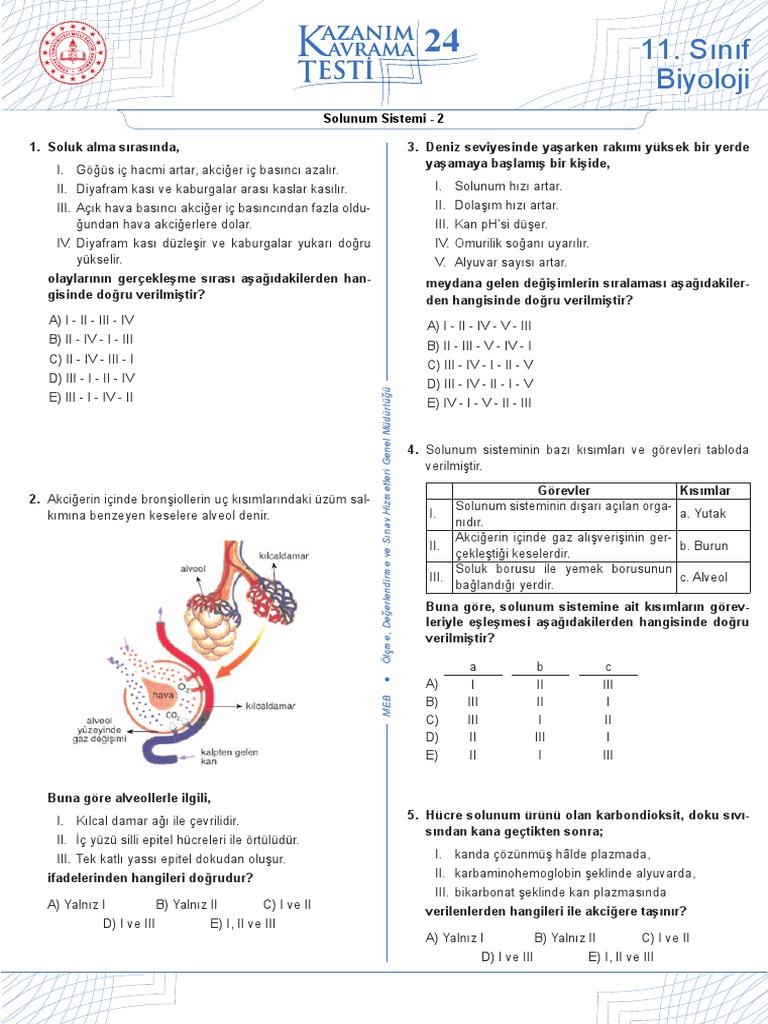 Bio 7 | PDF