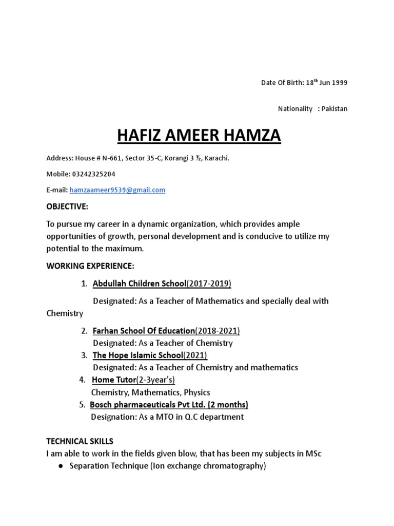 CV Ameer Hamza PDF | PDF