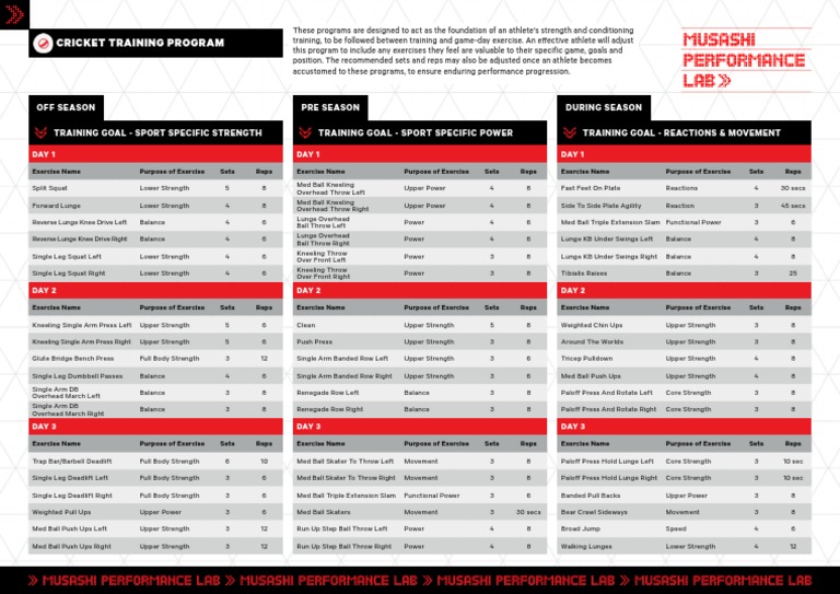 Cricket Strength & Conditioning Plan | PDF | Physical Exercise | Weight ...
