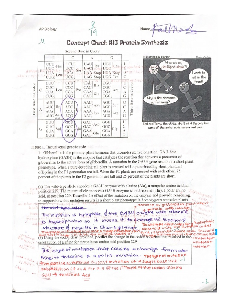 Concept Check #13 Corrections | PDF