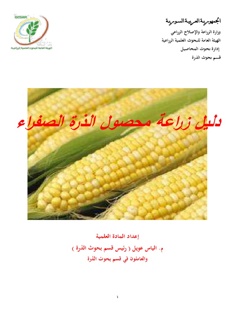 Yellow Corn Book | PDF