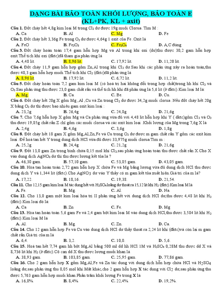 D NG BÀI B O TOÀN (KL+PK, KL +ax) | PDF