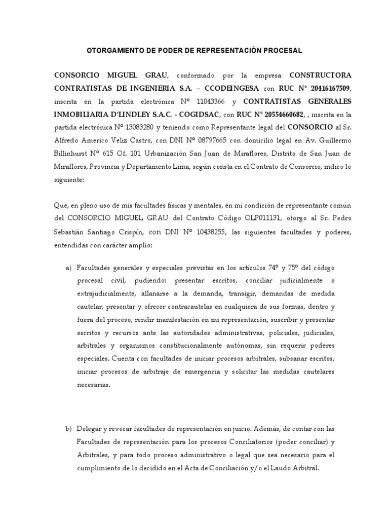 Modelo de Otorgamiento de Poder | PDF | Gobierno | Justicia
