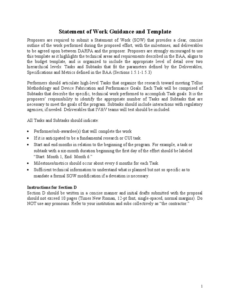 Attachment 3 - Statement of Work Template | PDF