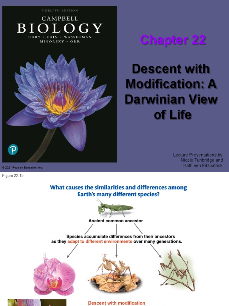Darwin and Natural Selection | PDF | Natural Selection | Evolution