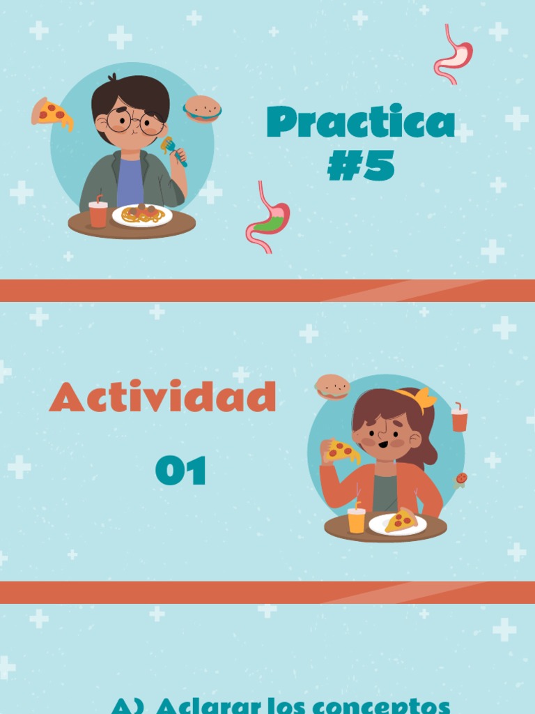 Practica | PDF | Digestión | Bilis