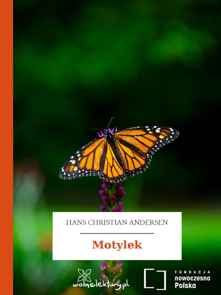 Andersen Motylek | PDF