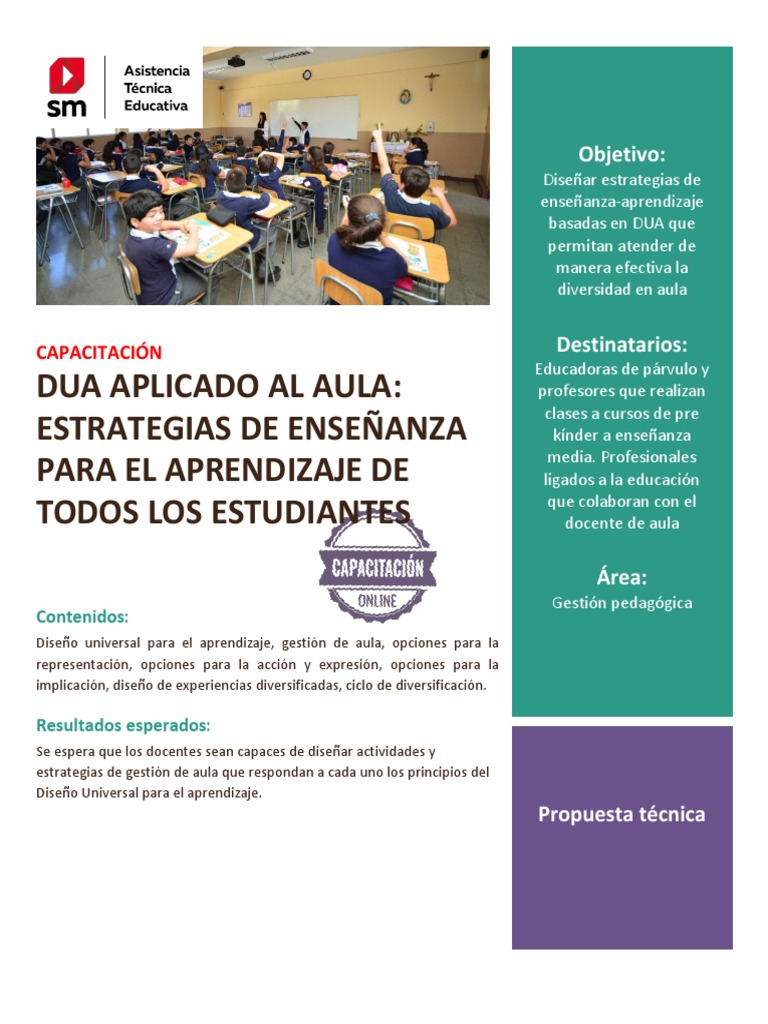 DUA-aplicado-al-aula-estrategias-de-enseñanza-para-el-aprendizaje | PDF | Enseñando | Salón de ...