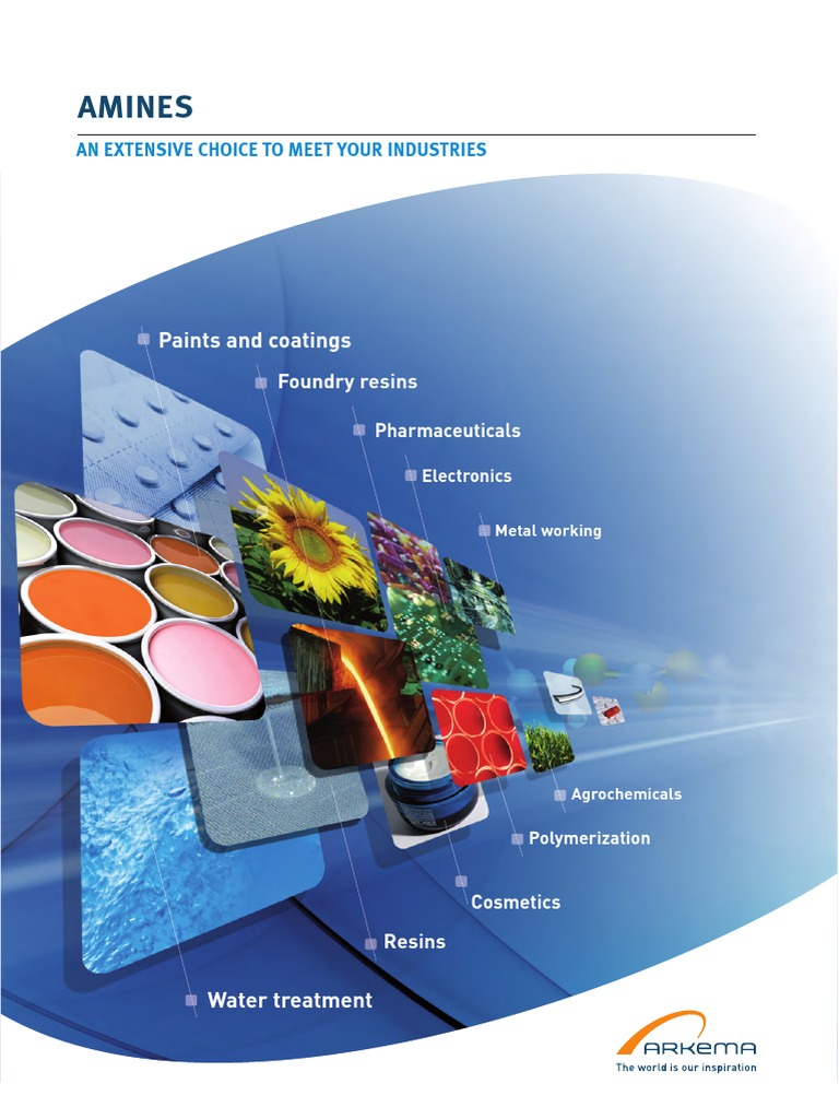 Amines Brochure | PDF | Amine | Hydrogenation