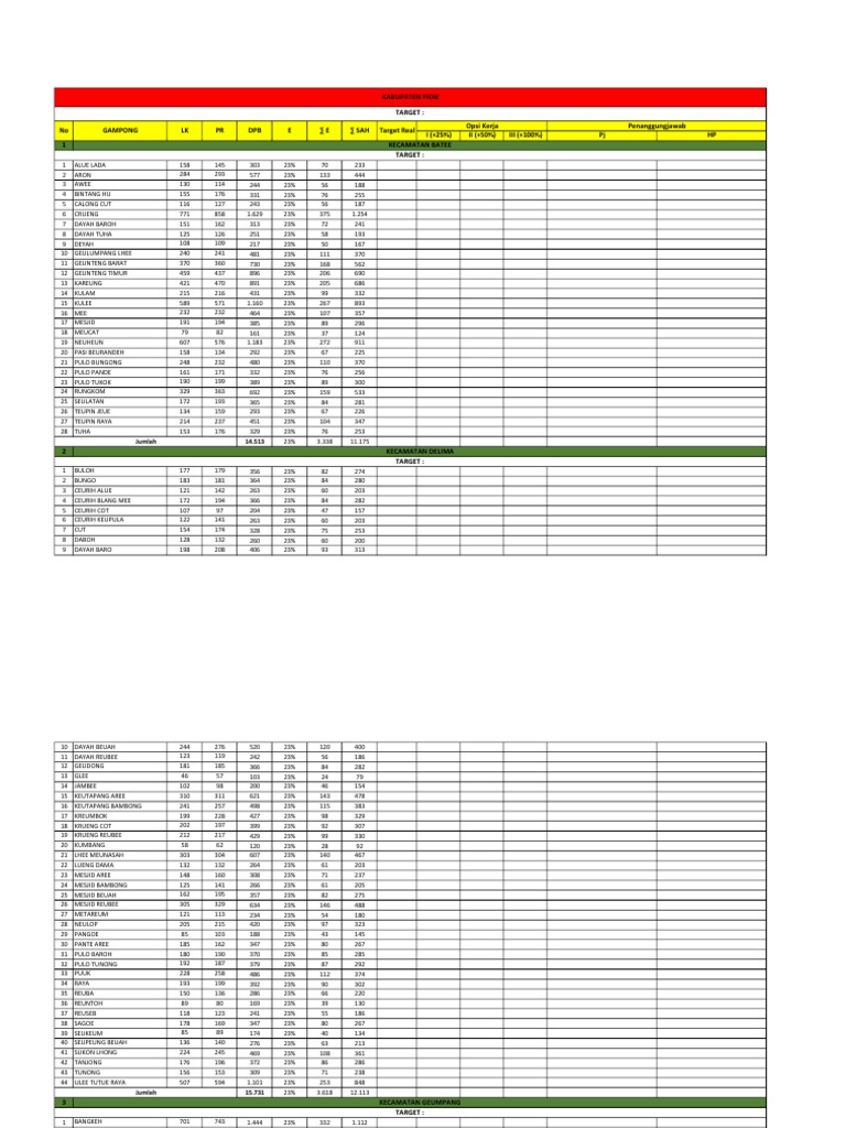 DPB Pidie 2024 | PDF