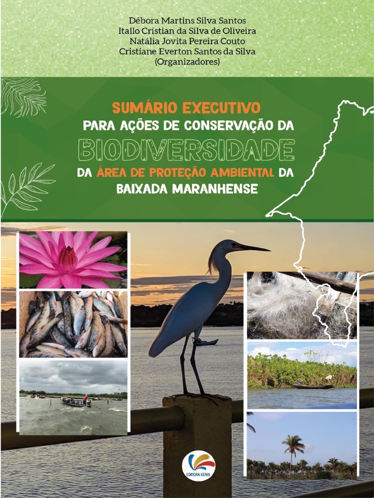 Sumário Versão Final Corrigida | PDF | Ambiente natural | Biodiversidade