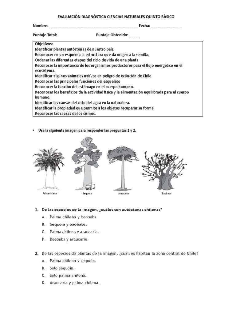 Evaluación Diagnóstica Ciencias Naturales | PDF