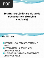 Évaluation de la détresse respiratoire néonatale | PDF | Nourrisson ...
