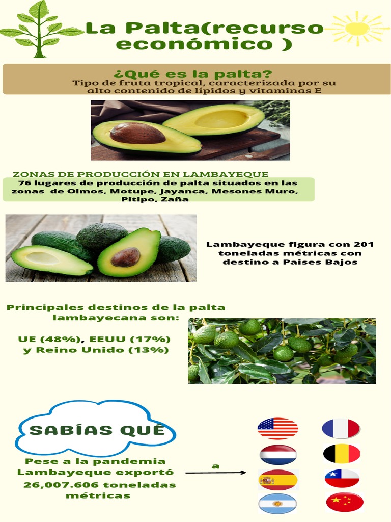 INFOGRAFIA SOBRE LA PALTA | PDF