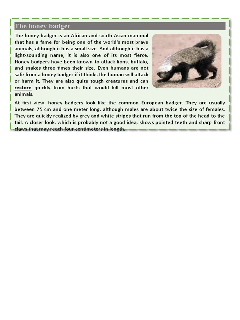 The Honey Badger | PDF