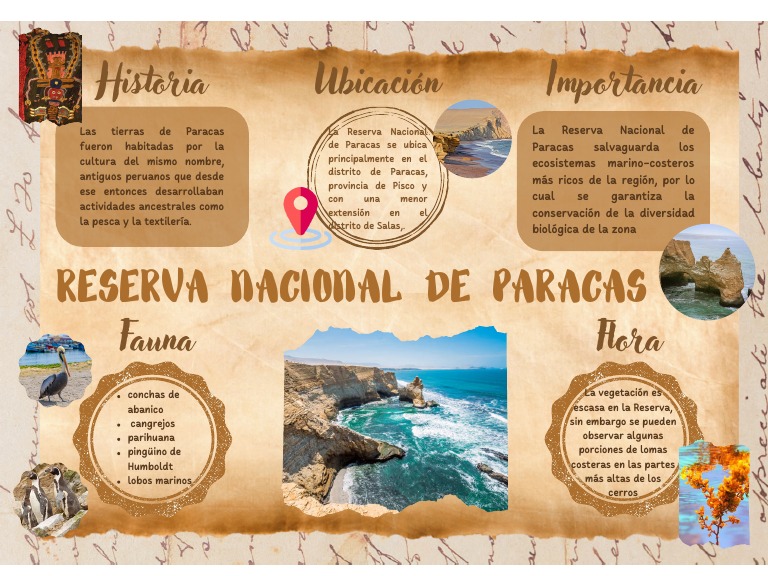 Reserva de Paracas Infografía | PDF